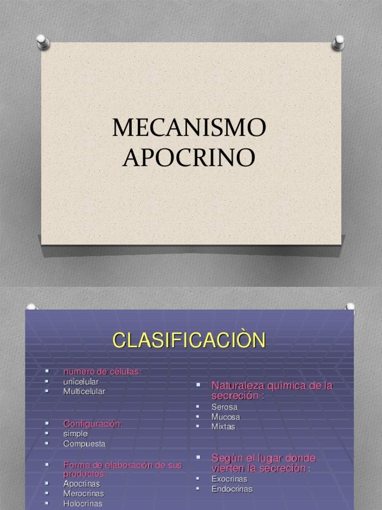Mecanismo Apocrino y Secresion de Mucina | PDF | Biología Celular ...