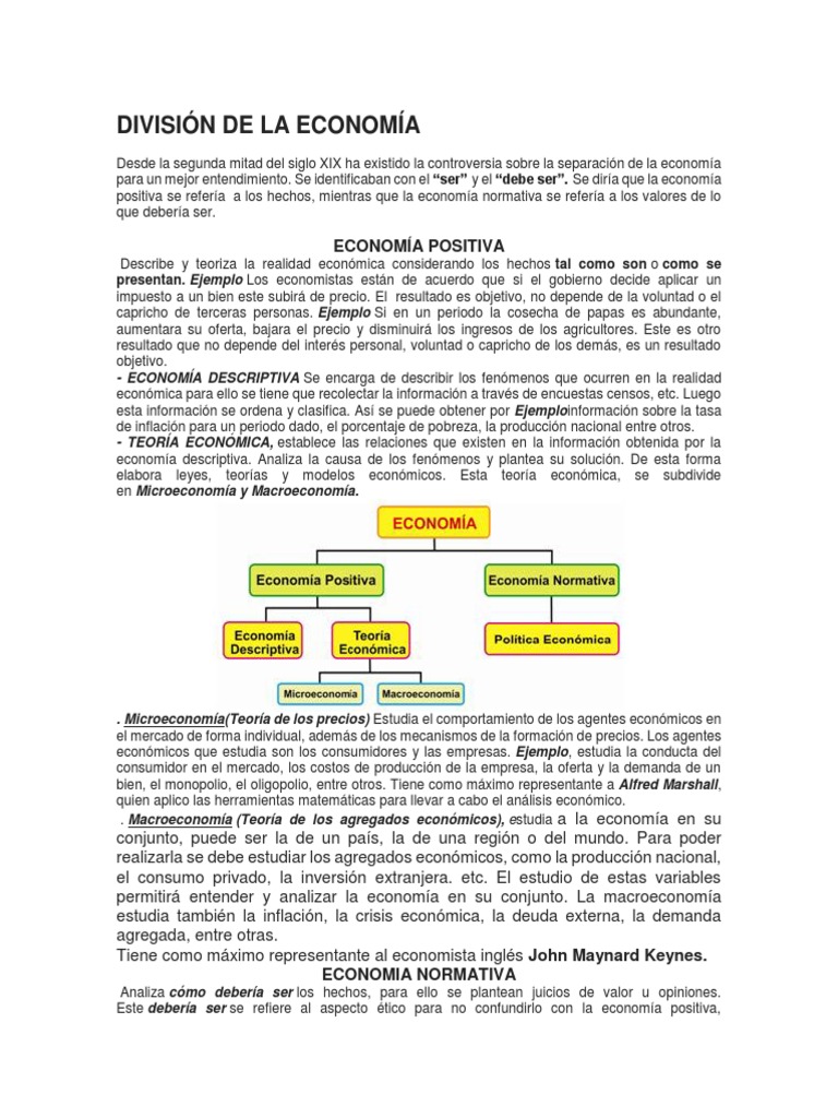 Divisiones de la Economía: Conceptos Clave | PDF | Macroeconómica ...