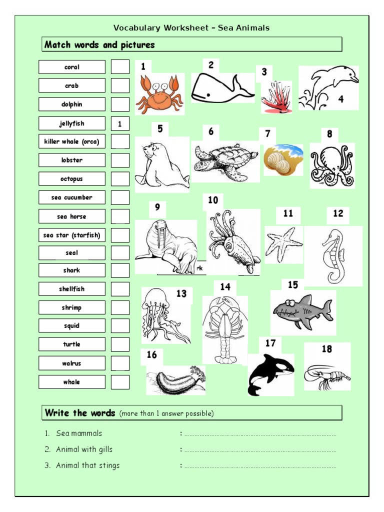 Vocabulary Worksheet - Sea Animals Matching | PDF