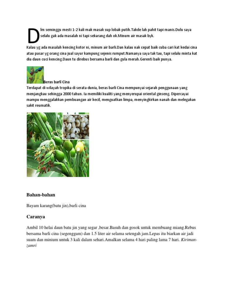 Barli Cina | PDF | Pengembangan Diri | Kesehatan Holistik