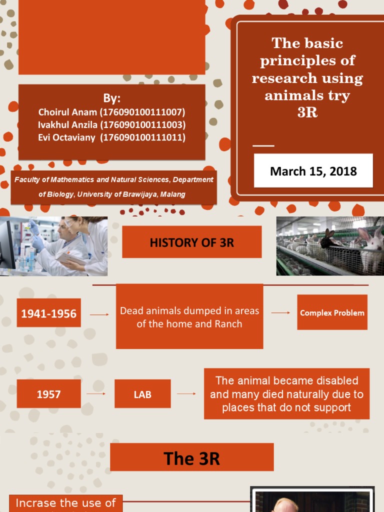 The Basic Principles of Research Using Animals Try 3R | PDF ...