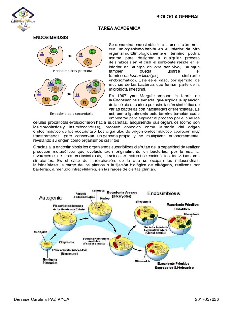 ENDOSIMBIOSIS | Descargar gratis PDF | Simbiosis | Biología