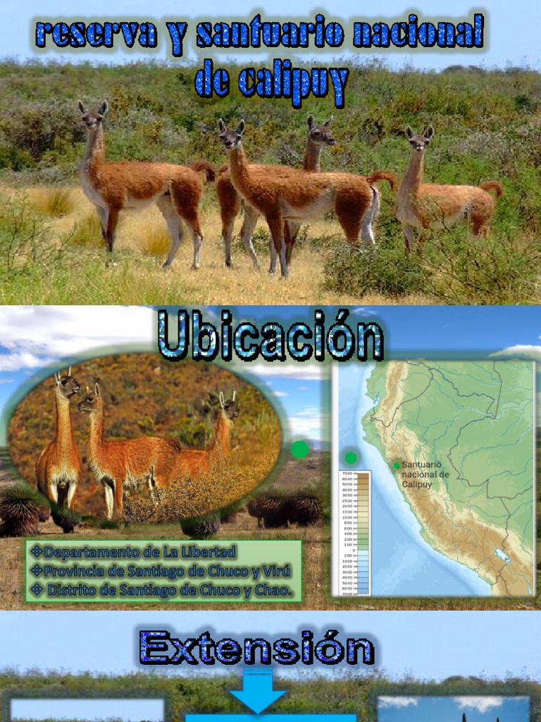 Santuario Nacional CALIPUY | PDF | Botánica | Horticultura y jardinería