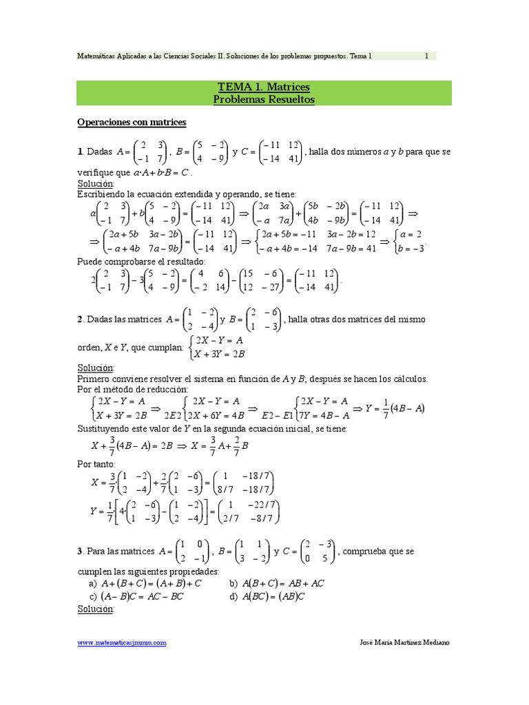 Ejercicios Resueltos de Matrices II | PDF | Matriz (Matemáticas ...