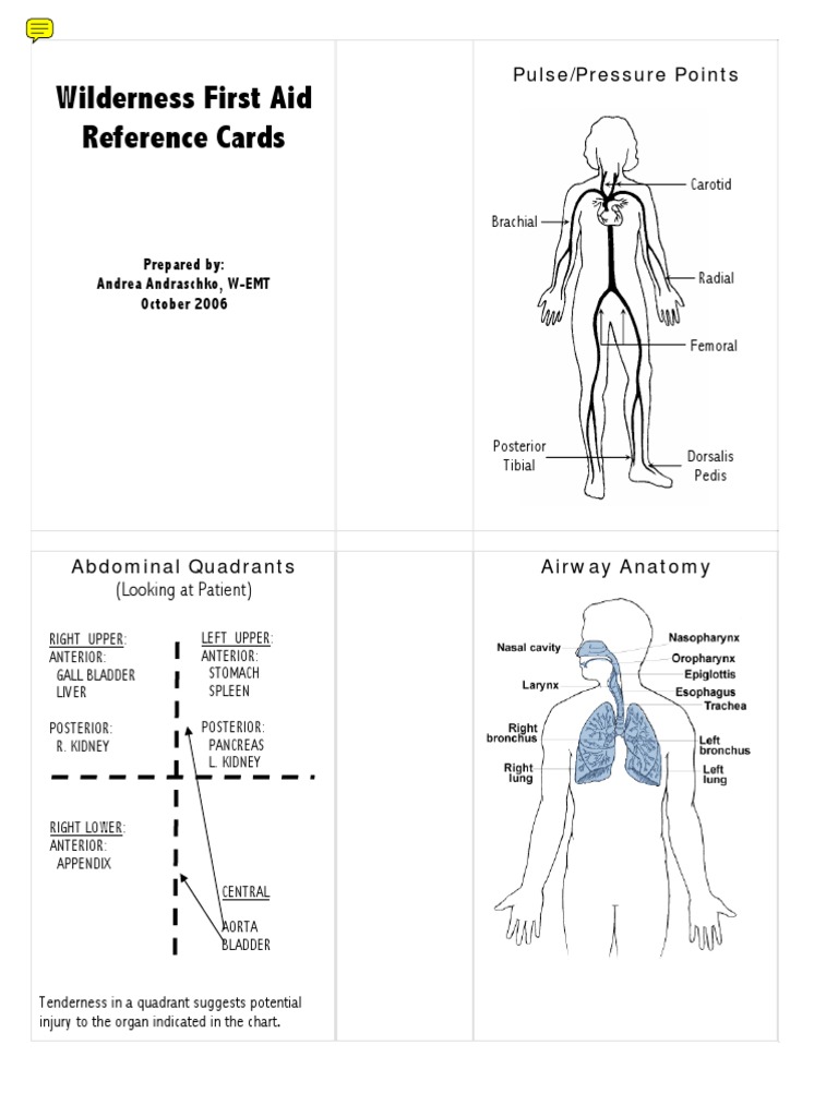 Wilderness First Aid Reference Cards: Pulse/Pressure Points | PDF ...