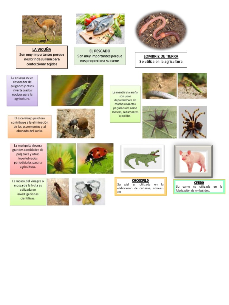 Animales Utiles | PDF