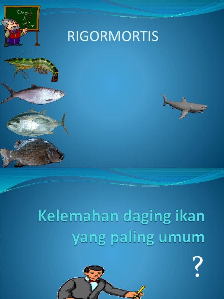 RIGORMORTIS PROCESS IN FISH | PDF