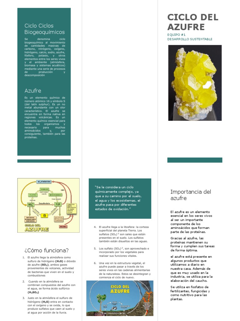 Triptico Ciclo del azufre