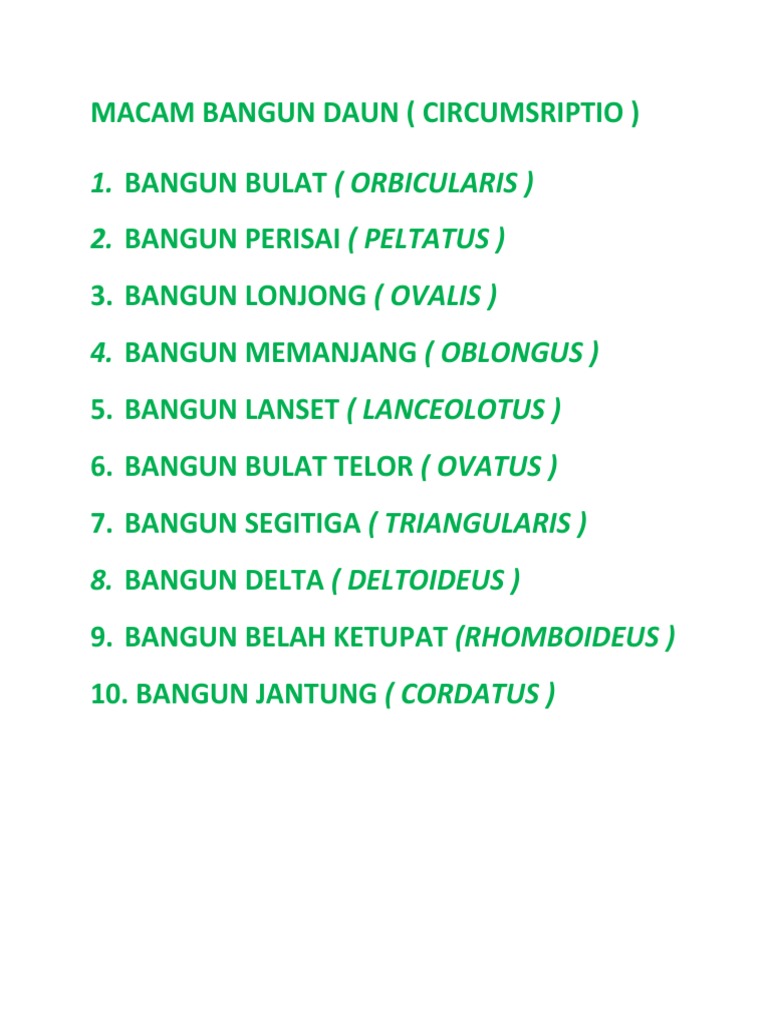 Macam Bangun Daun | PDF