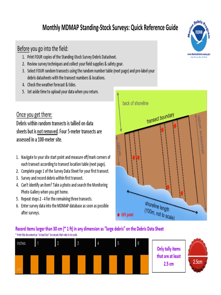 Standing Stock Survey | PDF | Survey Methodology | Computing