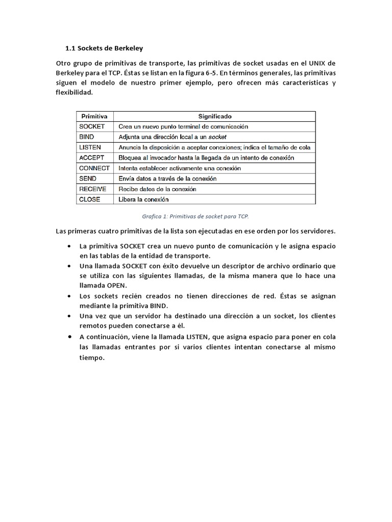 Informe Exposicion Networking | PDF