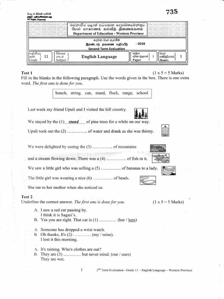 English - Grade 11 - 2nd Term 2018 | PDF