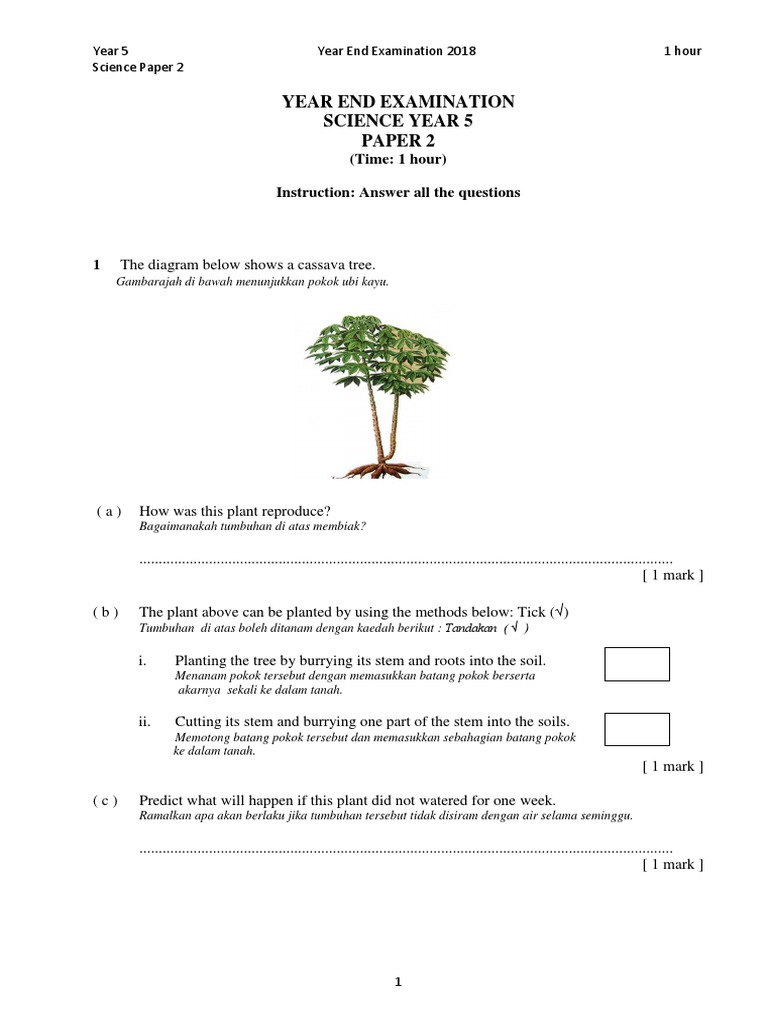 Paper 2 Year End Exam Year 5 | PDF | Liquids | Nature