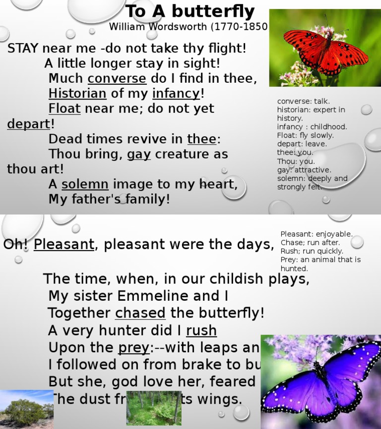 Wordsworth's Butterfly: Childhood Memories | PDF