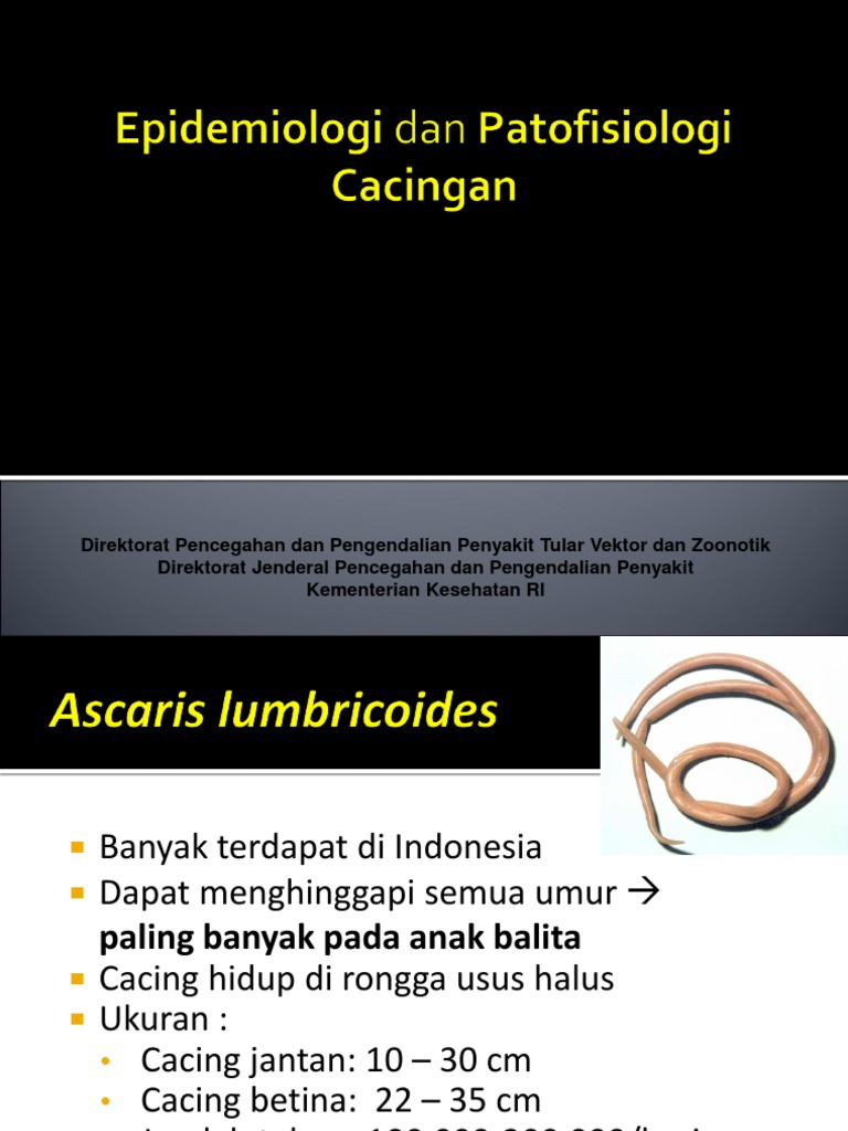 Epidemiologi Dan Patofisiologi Cacingan | PDF