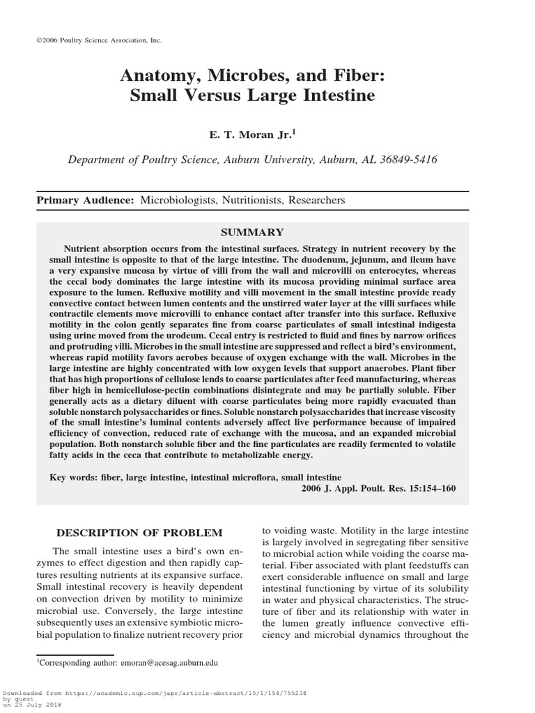 Anatomy, Microbes, and Fiber: Small Versus Large Intestine | PDF ...