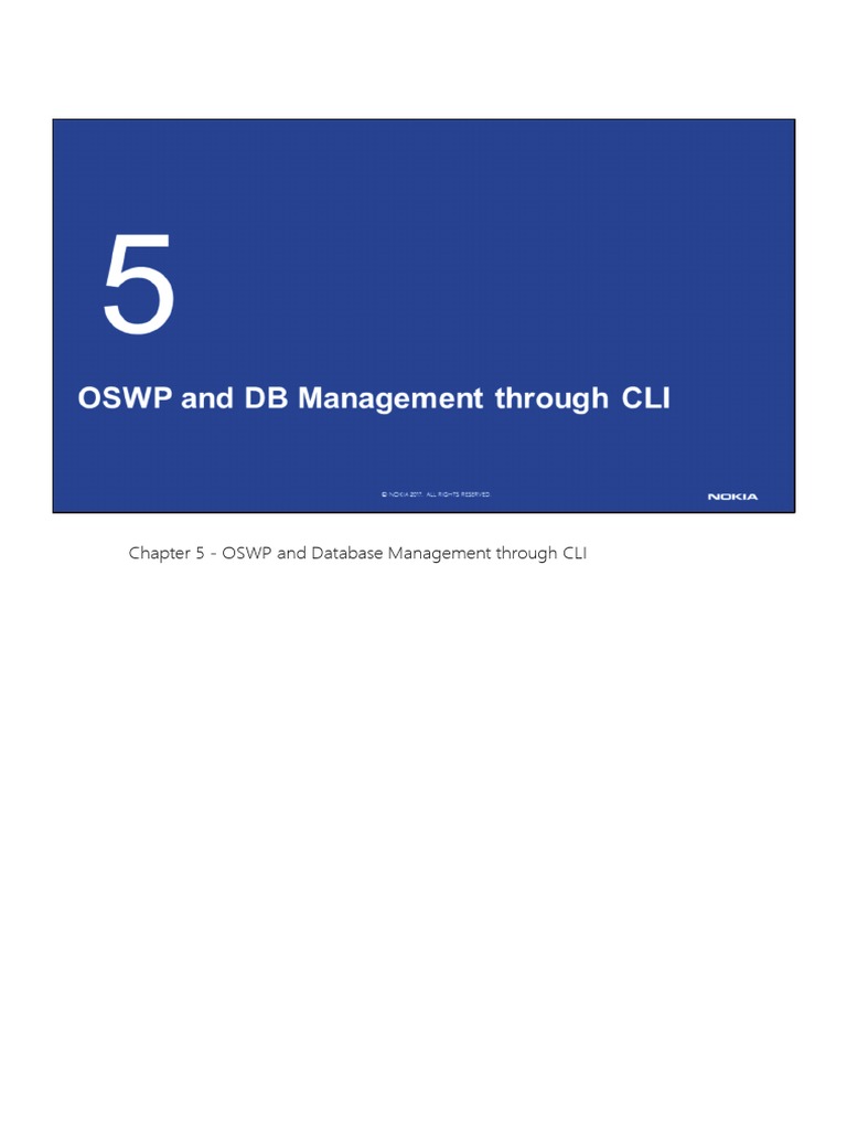 Software Management CLI PDF | PDF | Business | Science & Mathematics