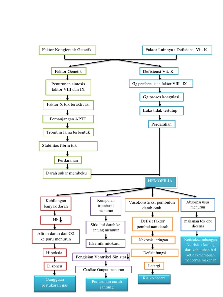 Pathway Dan Askep Hemofilia