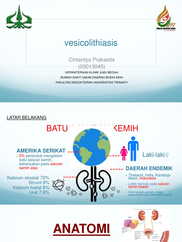 VESICOLITHIASIS: BATU SALURAN KEMIH DAN PENANGANANNYA | PDF