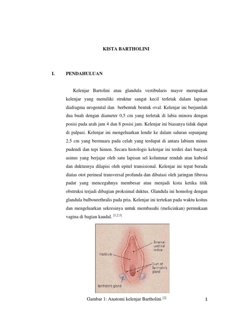 Kista Bartholini Dan Kista Gartner | PDF