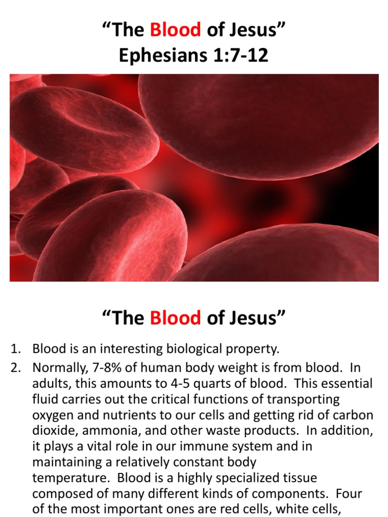 The Blood of Jesus | PDF | Baptism | John The Baptist