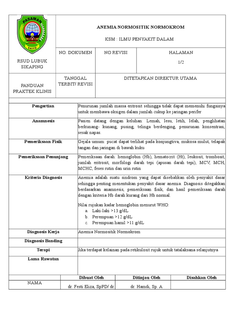 Anemia Normositik Normokrom | PDF