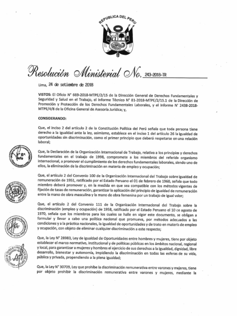 RM 243 2018 TR Guía | PDF