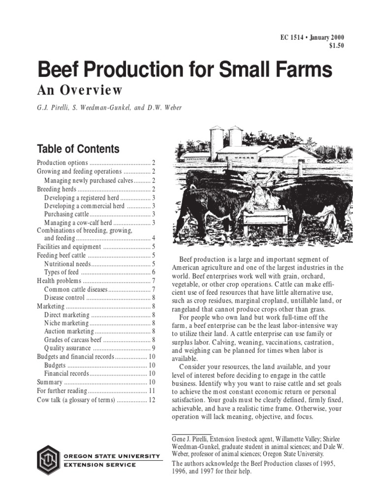 Beef Production Manual | PDF | Calf | Cattle