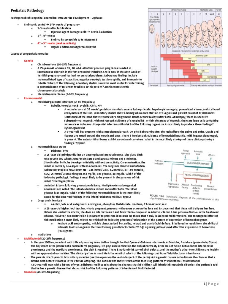 Nada's Pediatric Path Review | Download Free PDF | Preterm Birth | Fetus