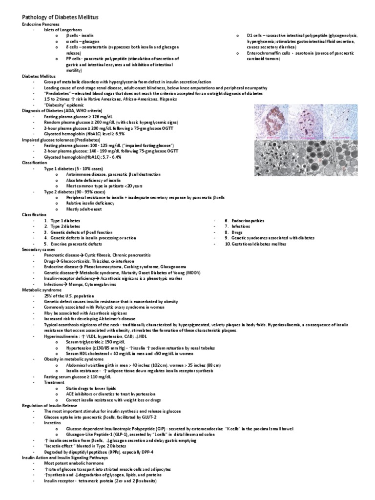 Diabetes Mellitus Pathology | PDF | Diabetes Mellitus Type 2 ...