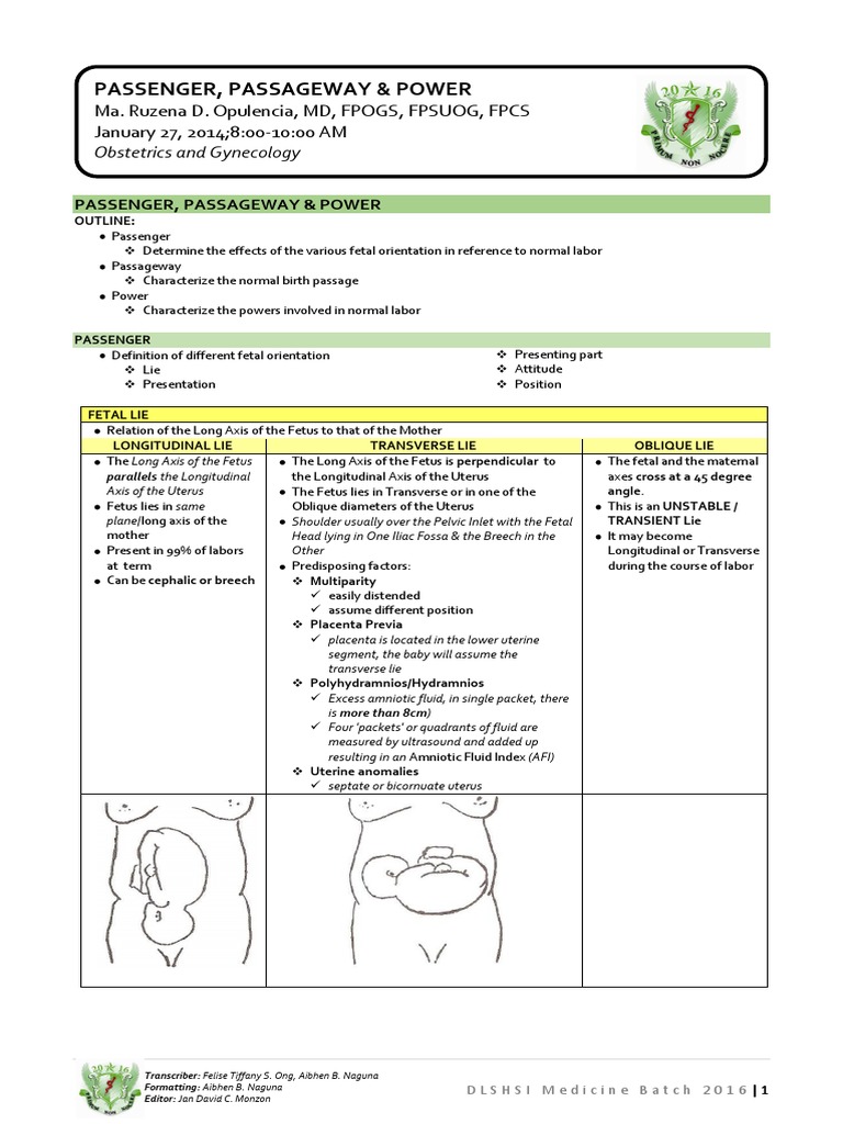 9.-Power-Passages-and-Passenger.pdf | Pelvis | Anatomy