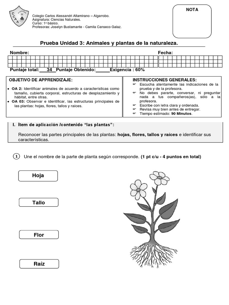 Prueba Unidad 3 Animales y Plantas | Plantas | Organismos