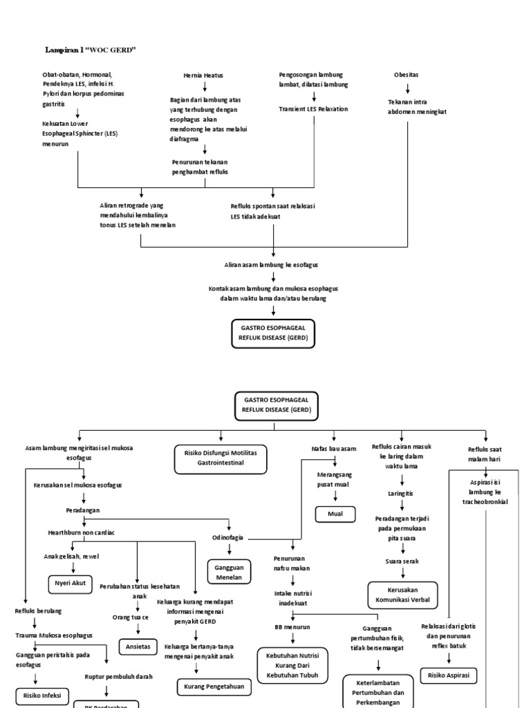 Lampiran 1 "WOC GERD": Gastro Esophageal Refluk Disease (Gerd) | PDF