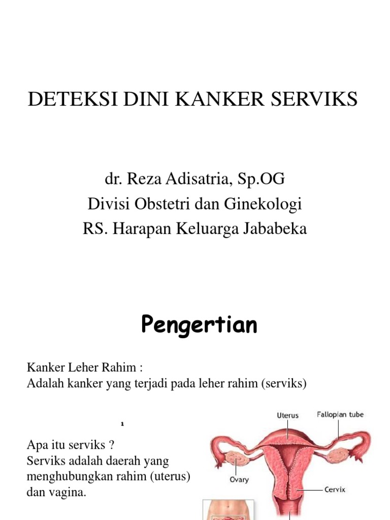 Kanker Serviks | PDF