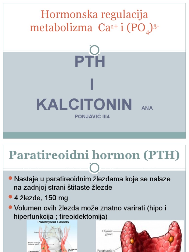 Hormonska Regulacija Metabolizma Ca2+ I (PO4) 3 | PDF