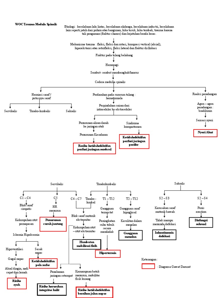 Woc Trauma Tulang Belakang | PDF