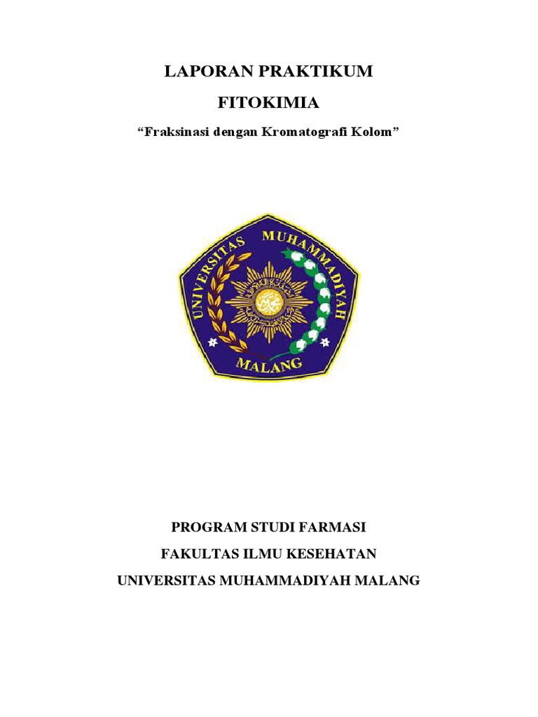 Laporan Fitokimia Fraksinasi Dengan Kromatografi Kolom | PDF