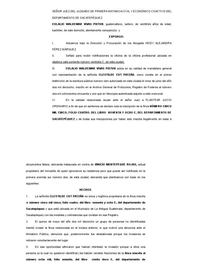 Demanda Ordinaria Civil | PDF | Propiedad | Demanda judicial