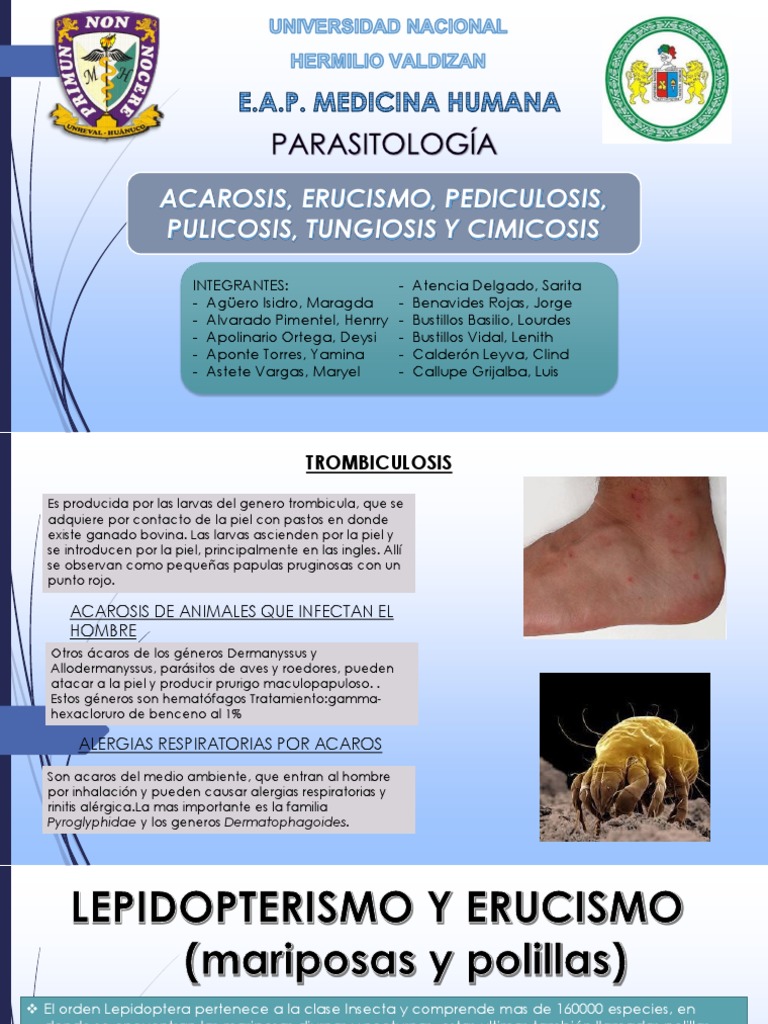 Acarosis, Erucismo, Pediculosis, Pulicosis, Tungiosis y Cimicosis - Sem ...