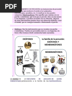 Instrumentos Musicales de Puerto Rico | PDF