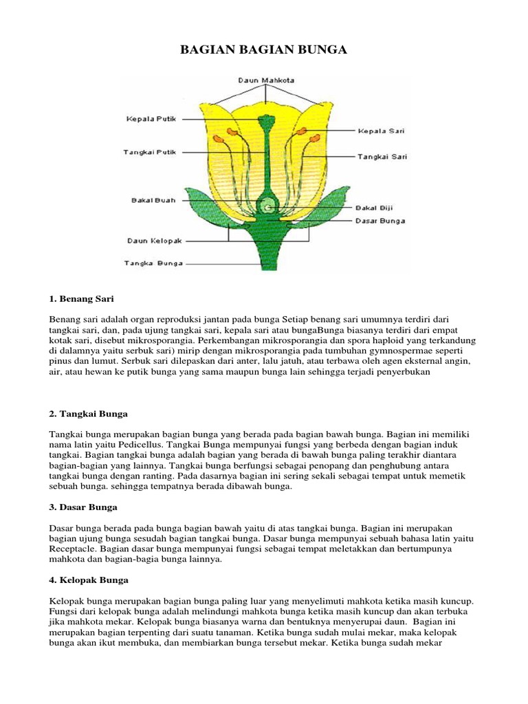 Bagian-Bagian Bunga dan Fungsinya | PDF | Sains & Matematika | Griya ...