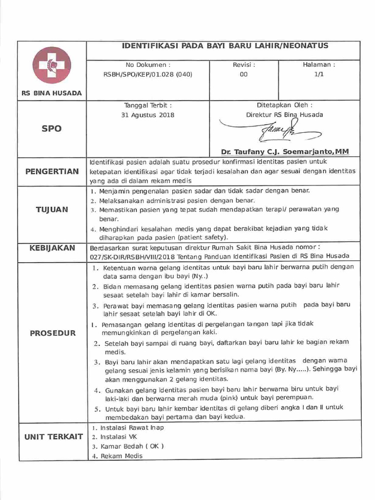 Spo Identifikasi Bayi Baru Lahir | PDF