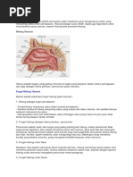 Struktur dan Fungsi Anatomi Hidung | PDF