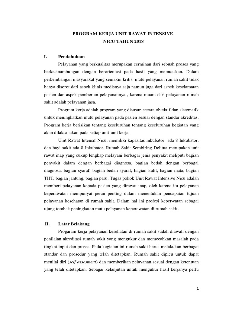 Program Kerja Nicu | PDF
