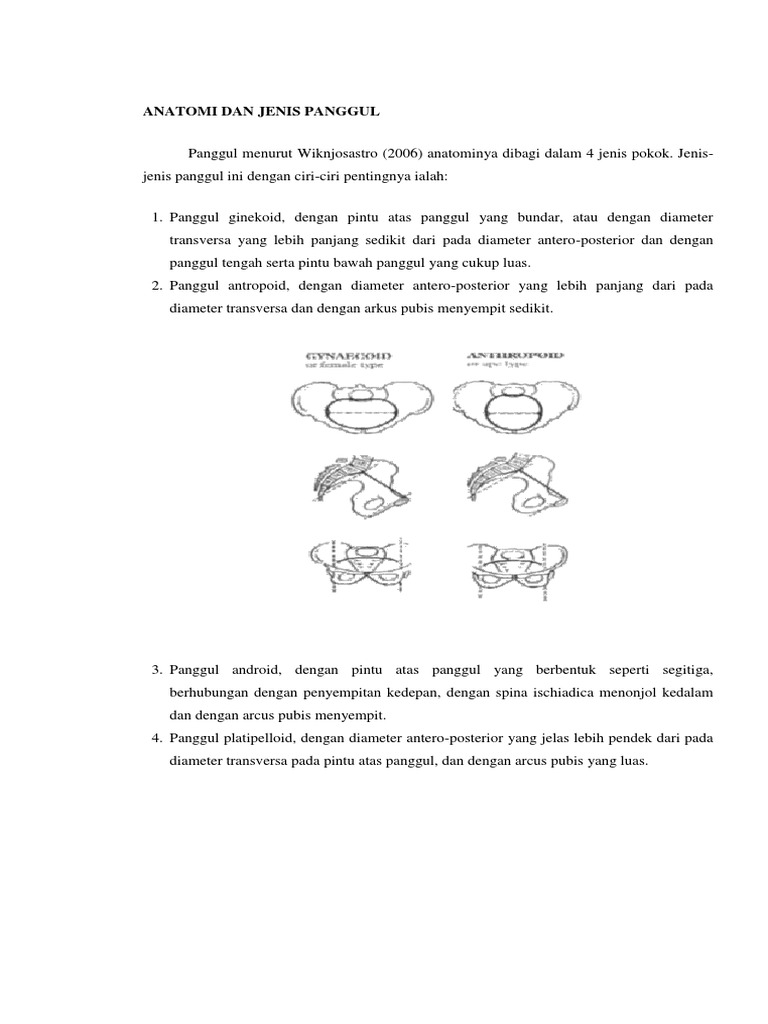Anatomi Dan Jenis Panggul | PDF