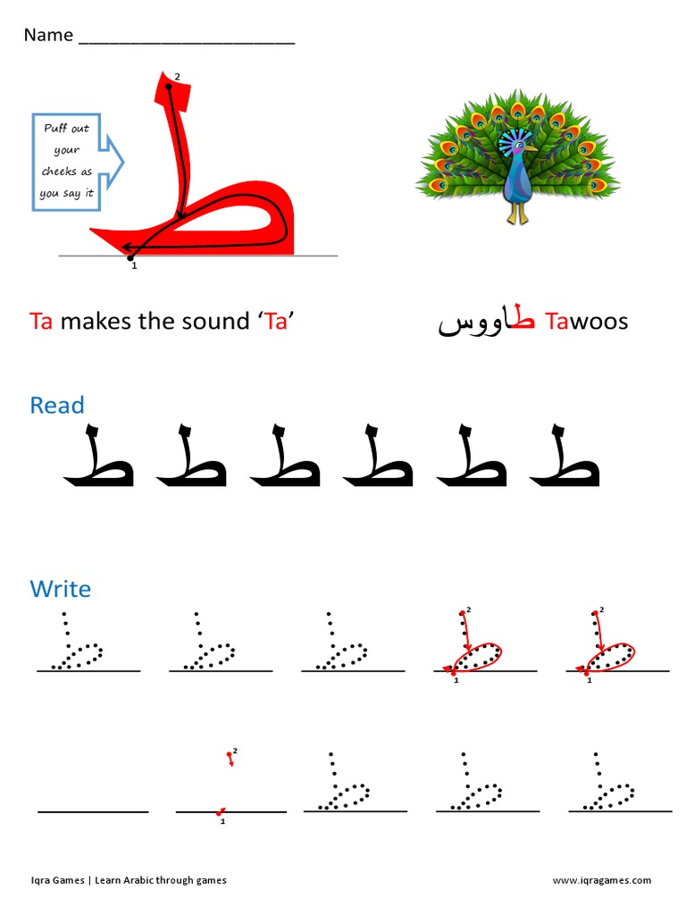 16 Ta Dot-To-Dot | PDF