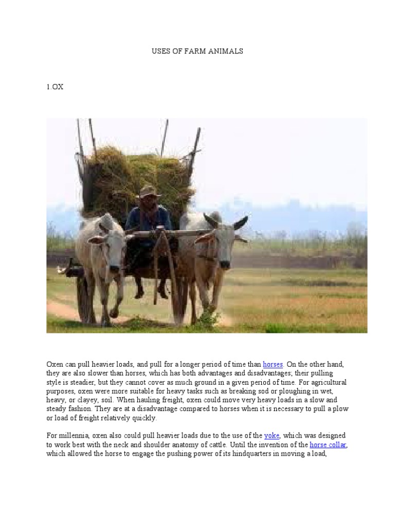 Maximizing Agricultural Potential: An Examination of the Various Roles ...