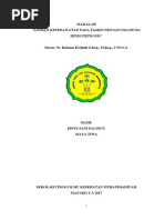 LP Hidronefrosis Baru | PDF