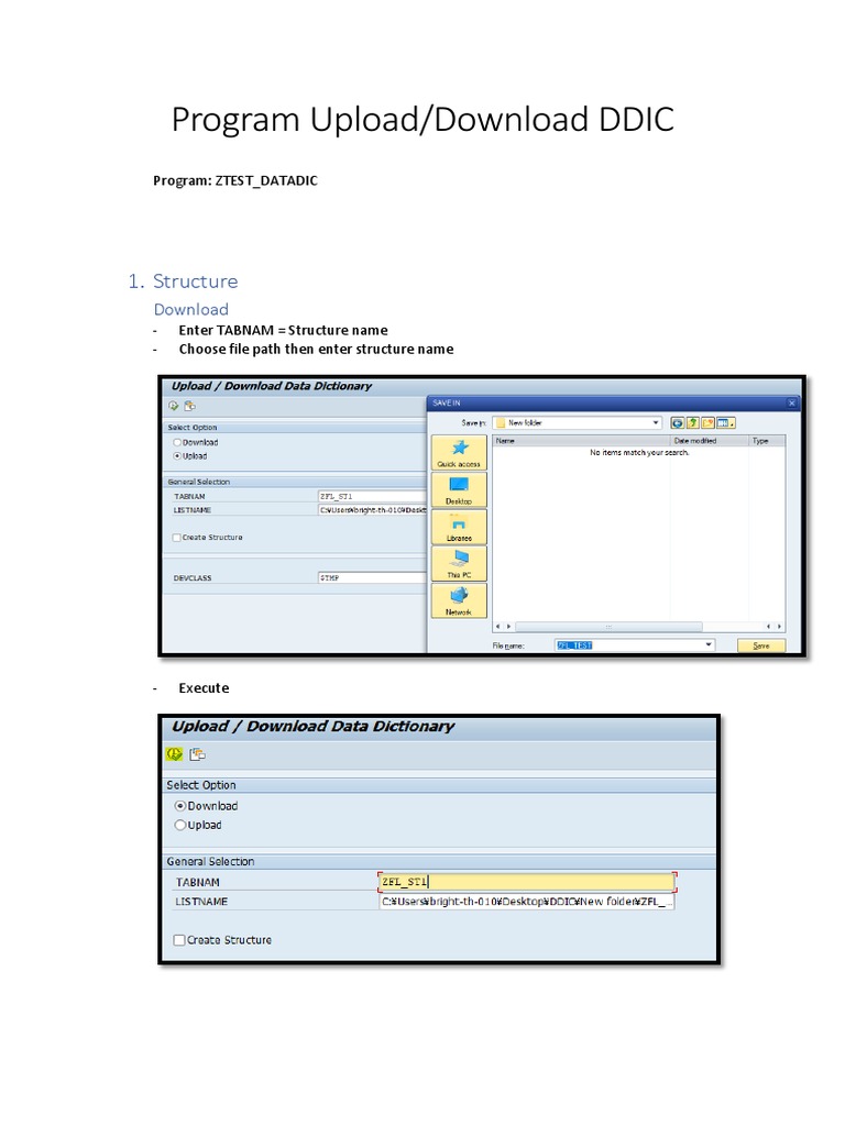 Program Upload/Download DDIC: 1. Structure | PDF
