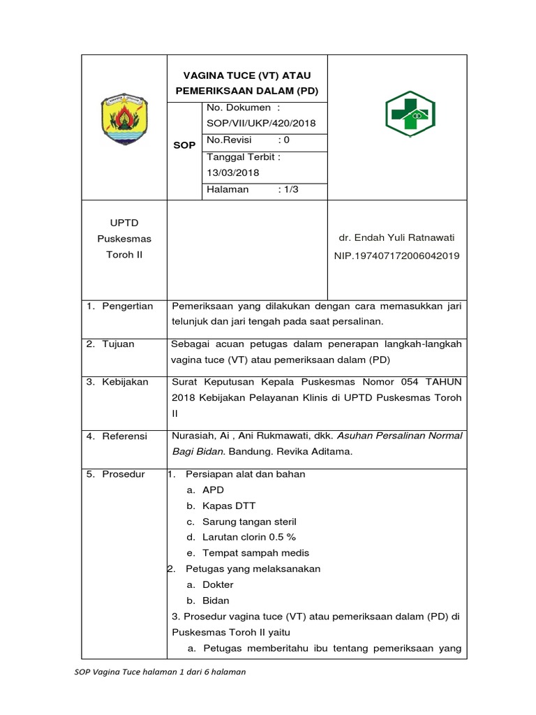 Vagina Tuce (VT) Atau Pemeriksaan Dalam (PD) New | PDF